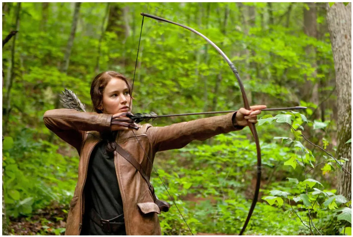 Hunger Games – Handmaid’s Tale? – James P Lynch Books